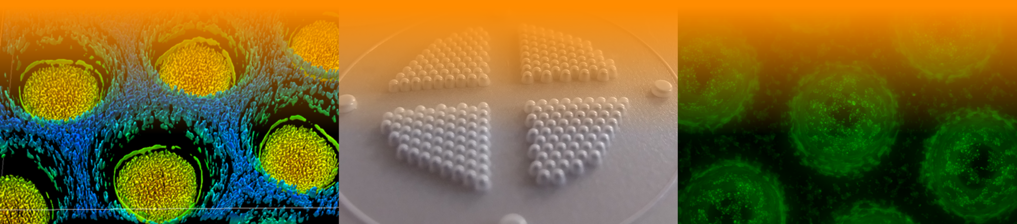 SensoSphere – CAVIGEN UG